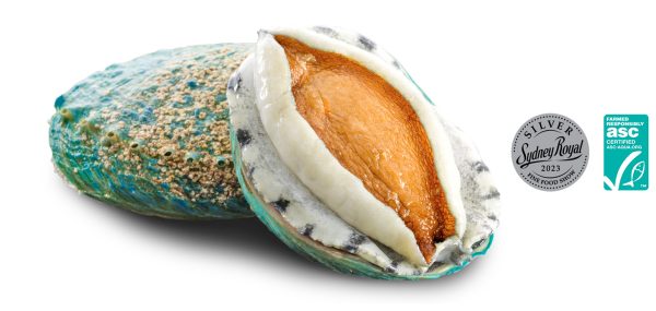 Jade Tiger Abalone® | Home